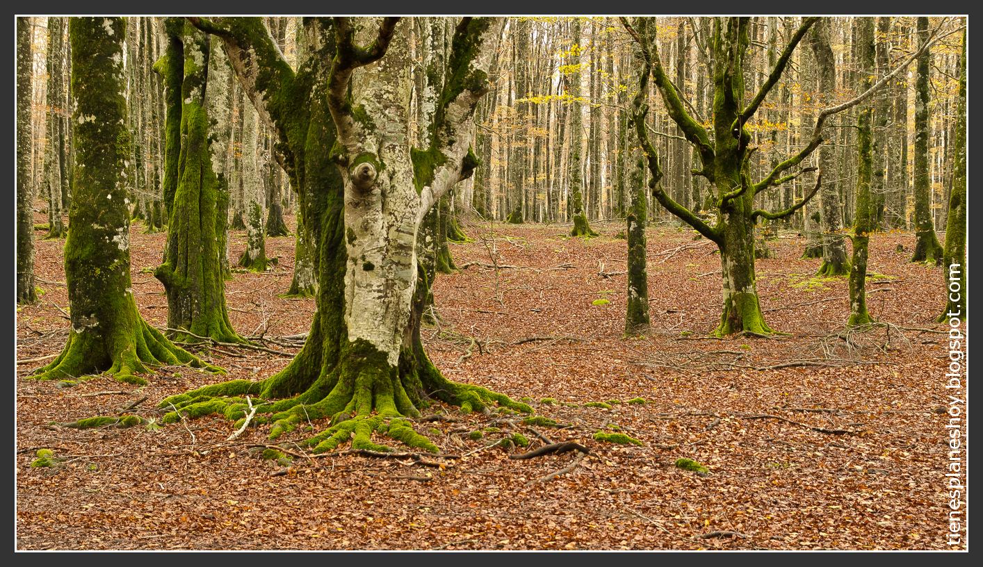 noviembre 2013 | ¿Tienes planes hoy?
