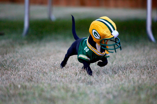 Bolling With 5: Puppy Football Training!
