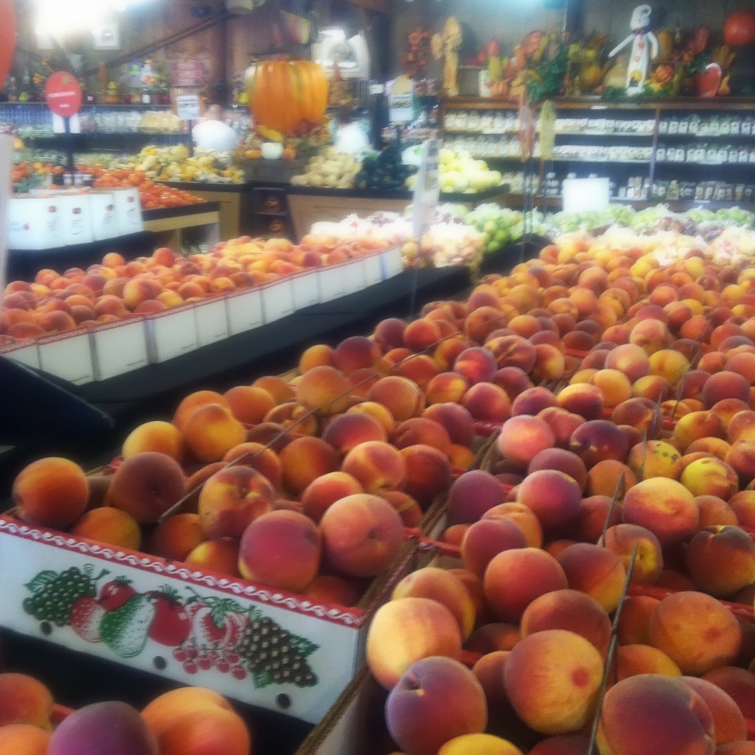 Destination: Roadtrip - Huber's Orchard and Winery