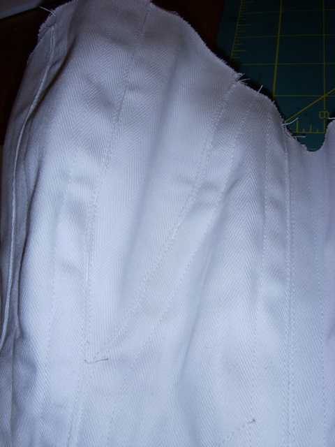 sewing to distraction: Laughing Moon Silverado Corset #4