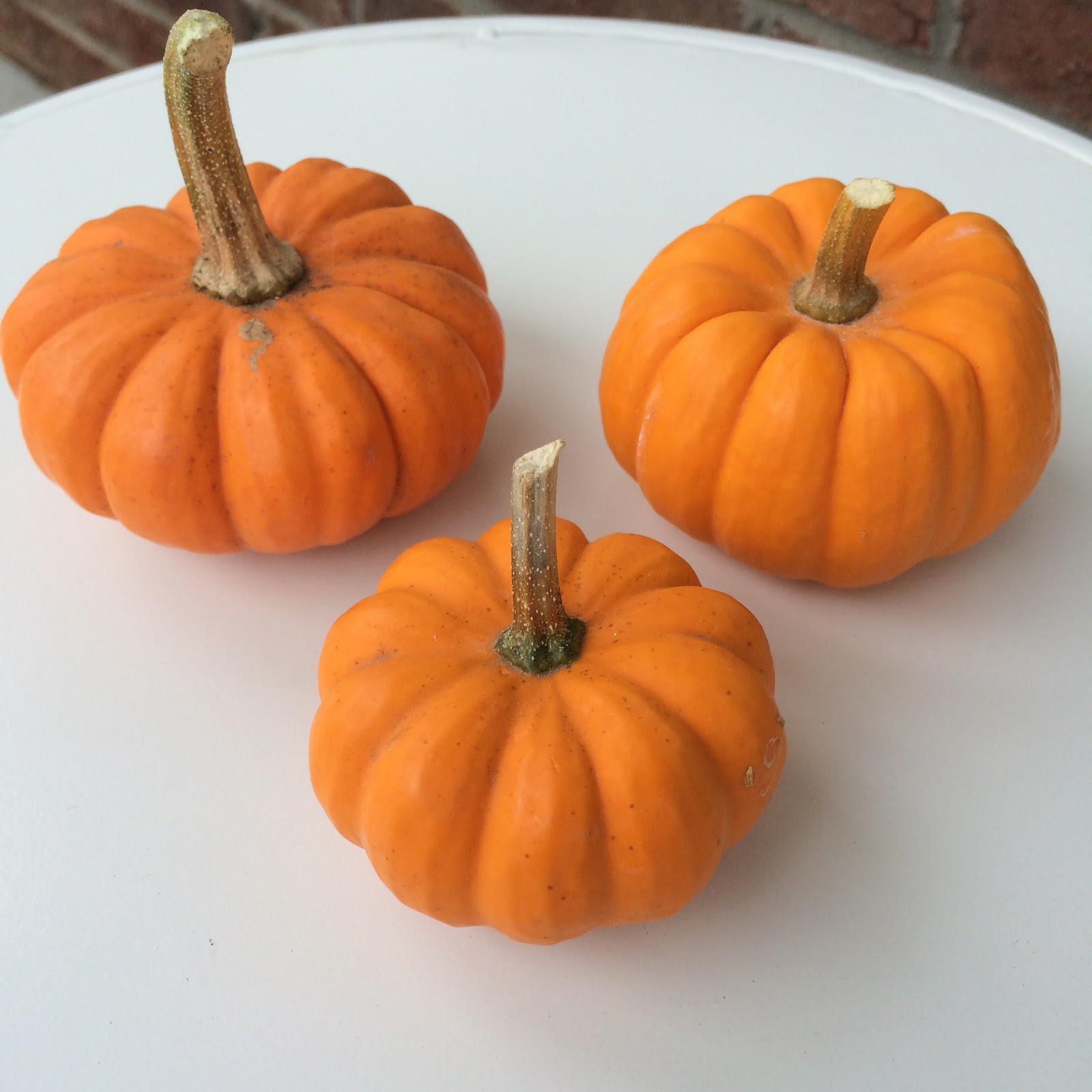 DIY Embellished Mini Pumpkins | Time and Turquoise