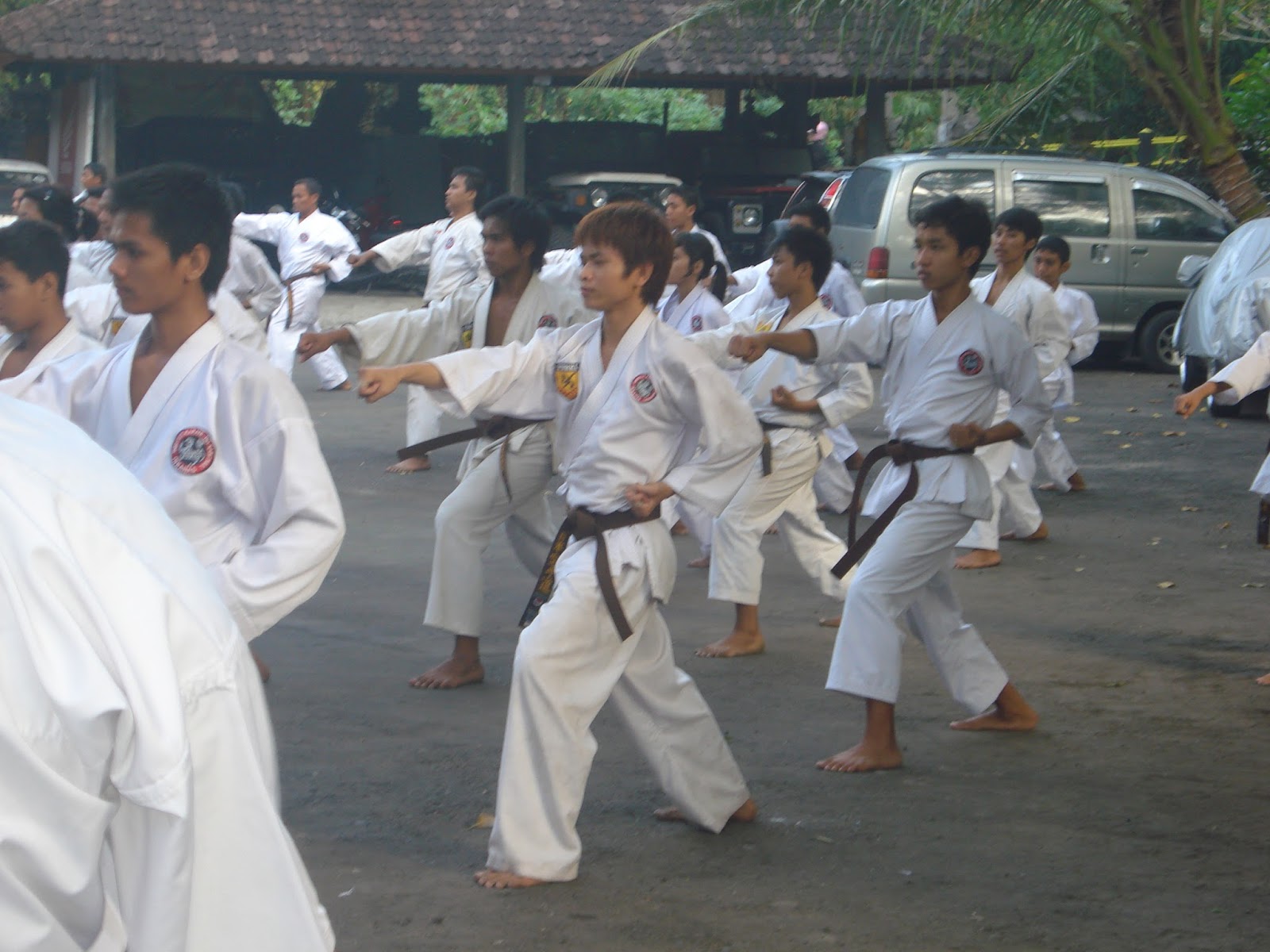 INKANAS SUMBAWA Collection ~ Tizar Inkanas
