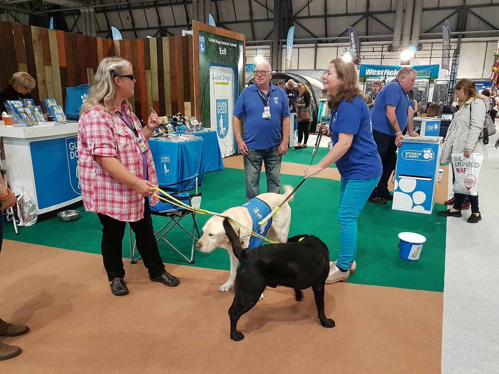 Guide Dog Oakley & NB Sola Gratia: Kanoodling Duties!
