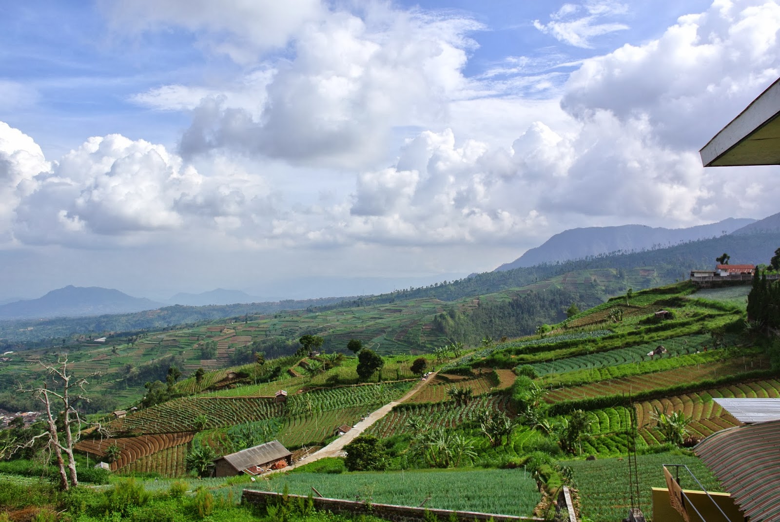 .: Temboro kampung yang perlu dimalui (Bhg 2)