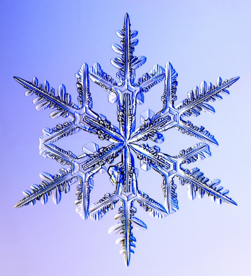 Heraldry of Life: ART with REAL SNOWFLAKES