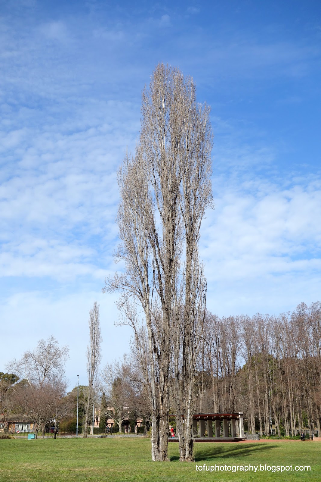 Tofu Photography: Beautiful Glebe Park