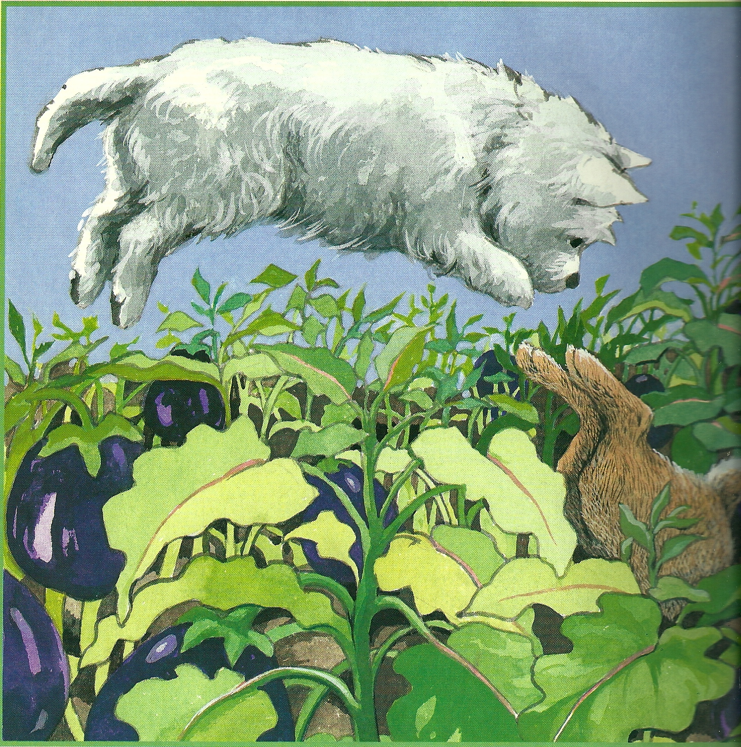 Best Loved Illustrators: McDuff Comes Home drawn by Susan Jeffers