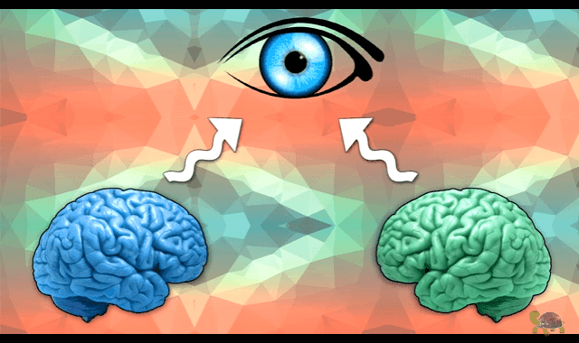 The Five Stages of Machine Telepathy #Video - Visualistan