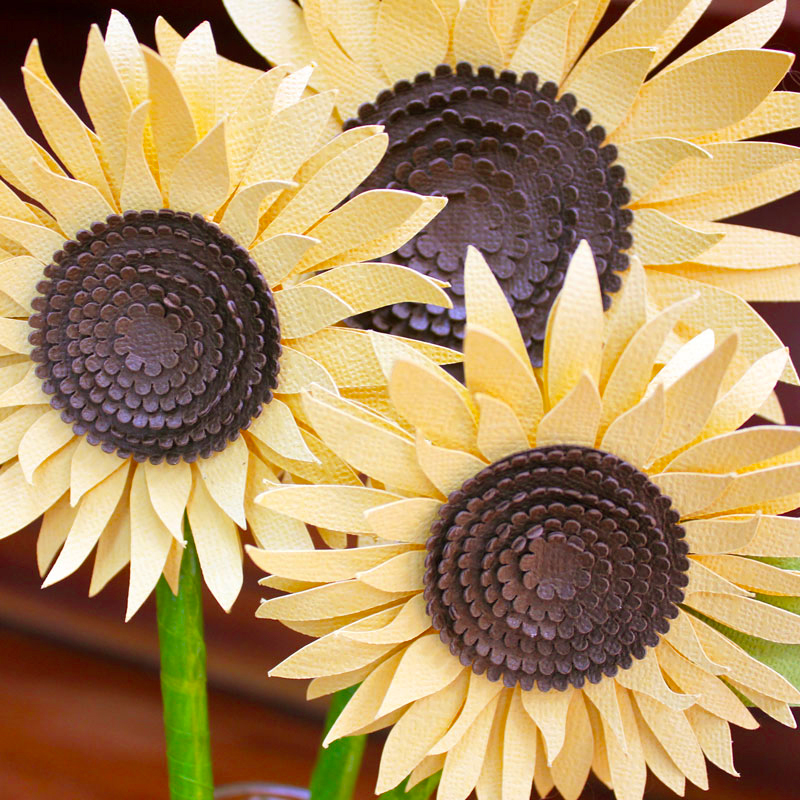 Doodlebug Design Inc Blog: Beautiful Cardstock Challenge Sunflowers by ...
