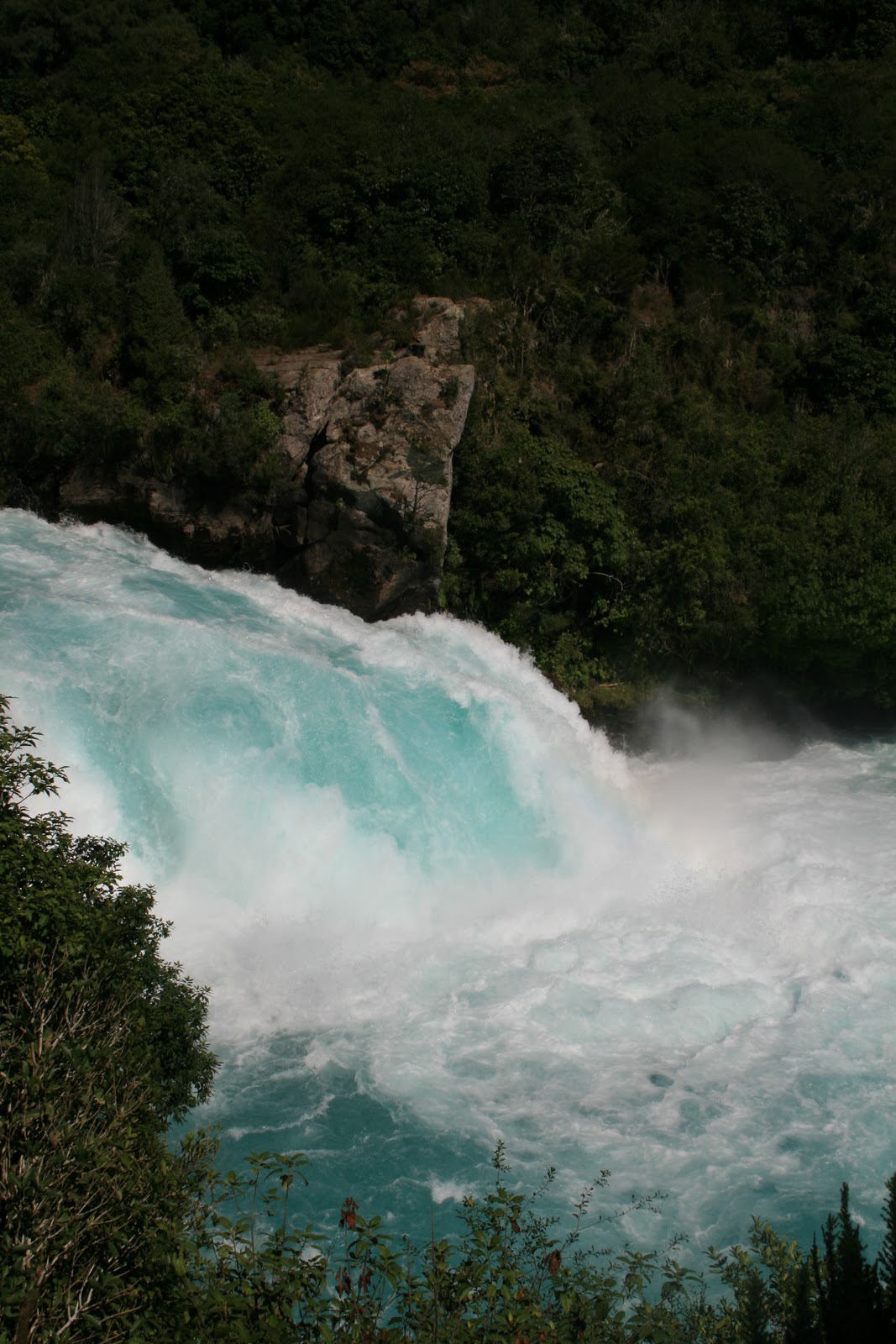 Janskiwiexperience: Lake Taupo- Waitomo Caves and Rotorua