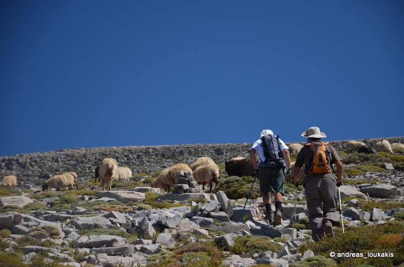 EXPLORE MOUNTAINS: ΣΤΗΝ ΚΟΡΥΦΗ ΤΗΣ ΚΡΗΤΗΣ (ΤΙΜΙΟΣ ΣΤΑΥΡΟΣ ΨΗΛΟΡΕΙΤΗ ...