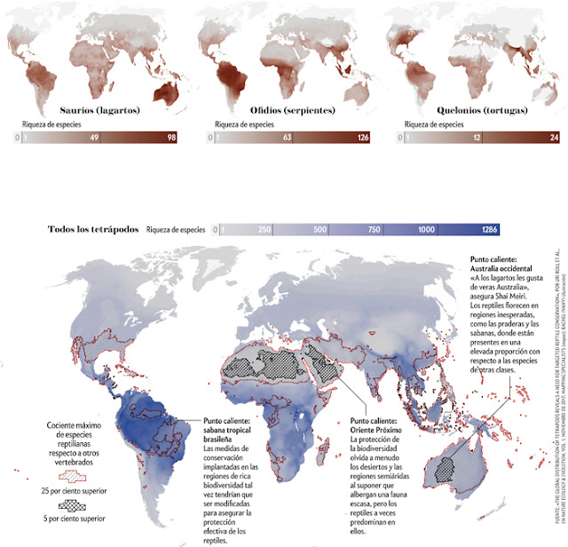 el mundo de los reptiles: distribución geográfica de los reptiles