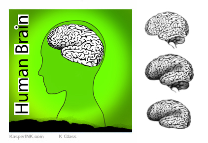 ink brush: Brain - Photoshop Brush