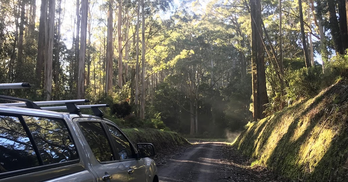 Wazza's Wanderers : Brunswick Falls, Allembee Falls, The Otways
