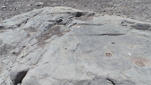 Tamilnadu Tourism: Kothandarameswarar Temple, Kayathar, Thoothukudi