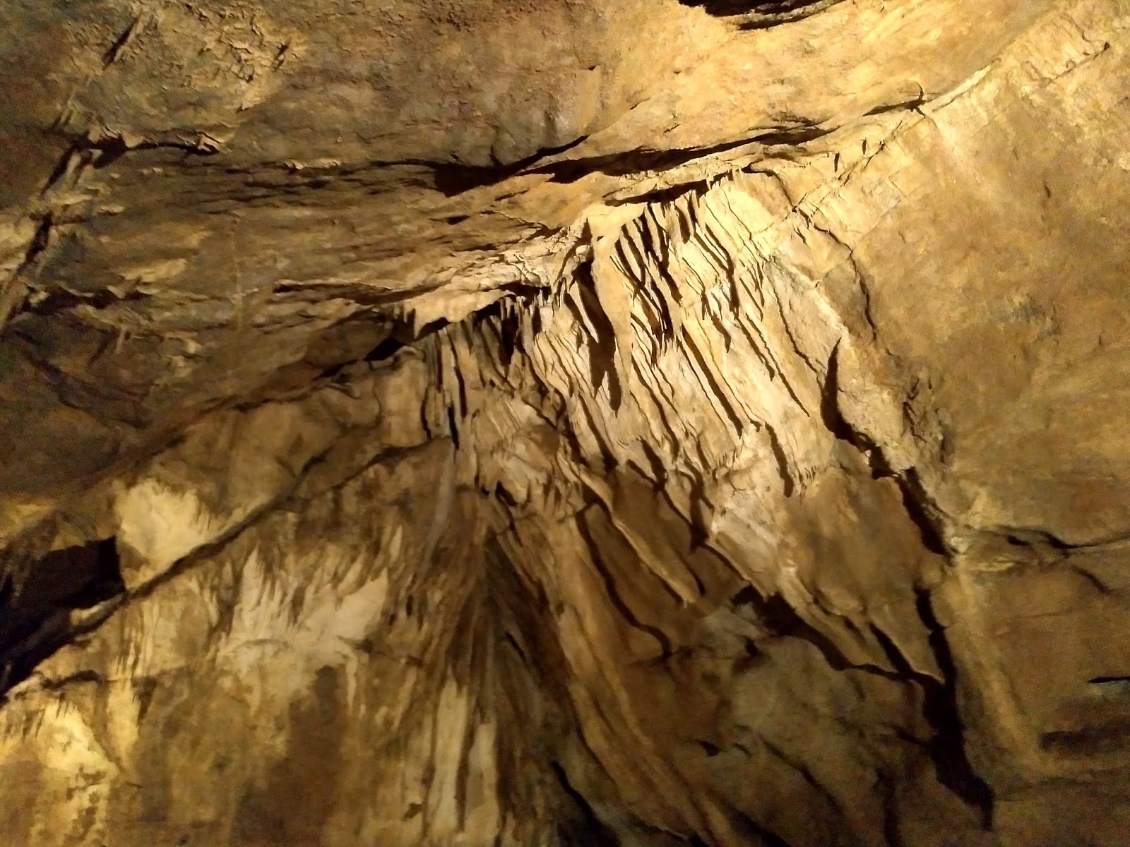 Grottes de Bétharram - Vino y Miel