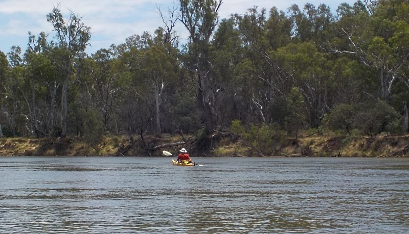 The Conspiracy Times: Along The Murray River: Yarrawonga to Echuca