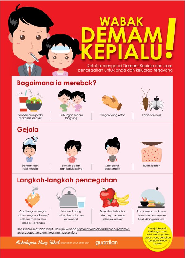 Apa Itu Demam Kepialu (Tifoid)? - INILAH REALITI BUKAN FANTASI