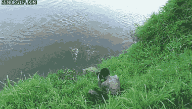 Outback Snack Australia: Crocodile Attacks in Australia