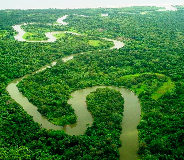 RESERVA DE LA BIOSFERA DE RÍO PLÁTANO ~ Honduras