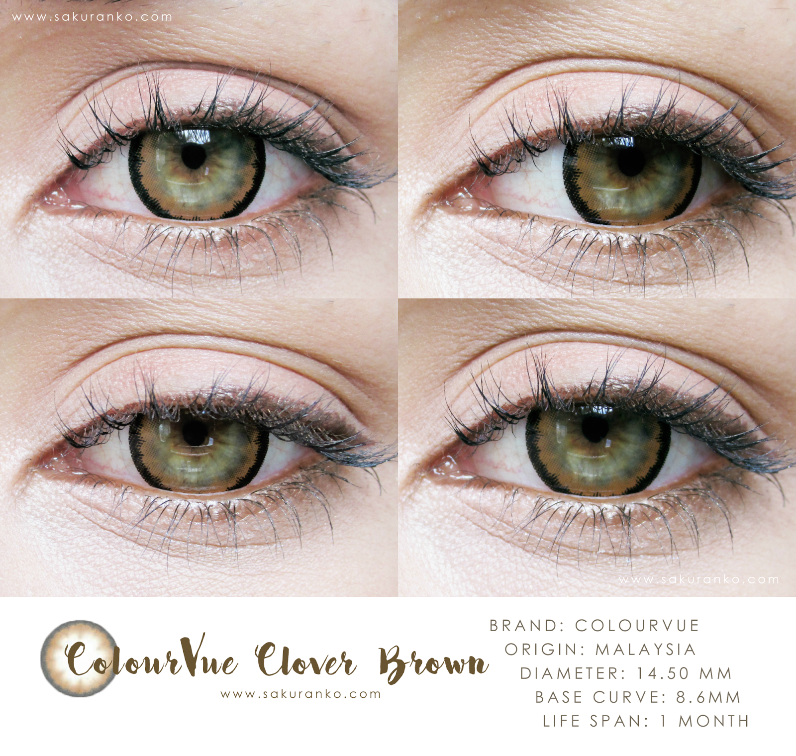 Sakuranko: ColourVue Clover Brown Circle Lens