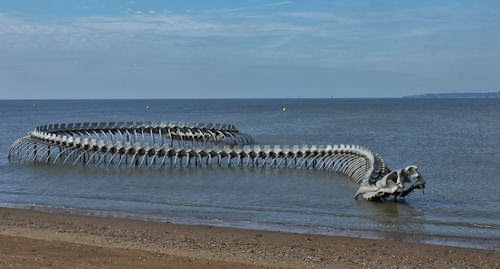The Presurfer: A Giant Twisting Serpent Skeleton Emerges From The Loire ...