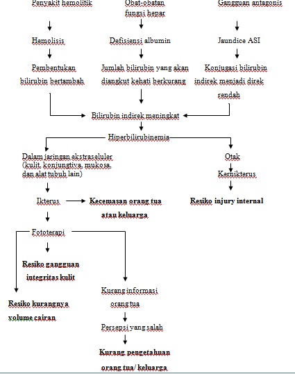 LAPORAN PENDAHULUAN HIPERBILIRUBINEMIA ~ YARIZ BLOG