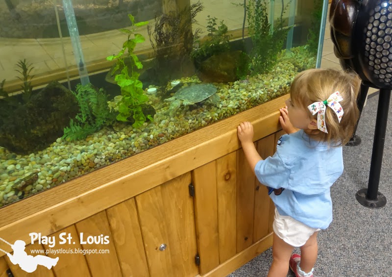 Play St. Louis: Powder Valley Nature Center, Kirkwood