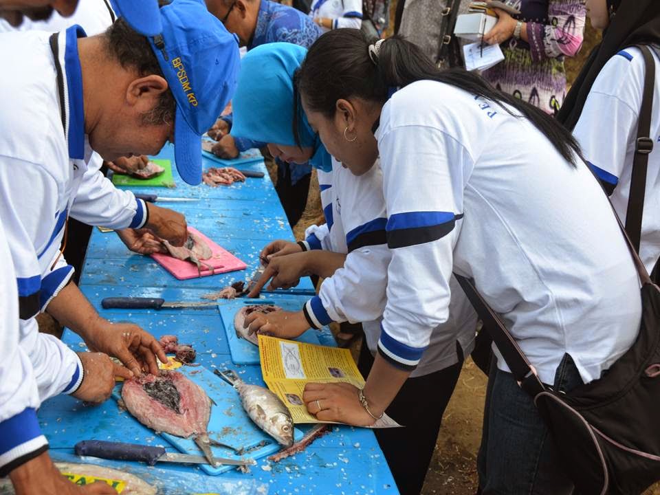 Metode Penyuluhan Demonstrasi Cara dan Hasil