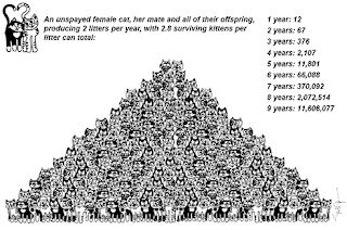 Animal Overpopulation