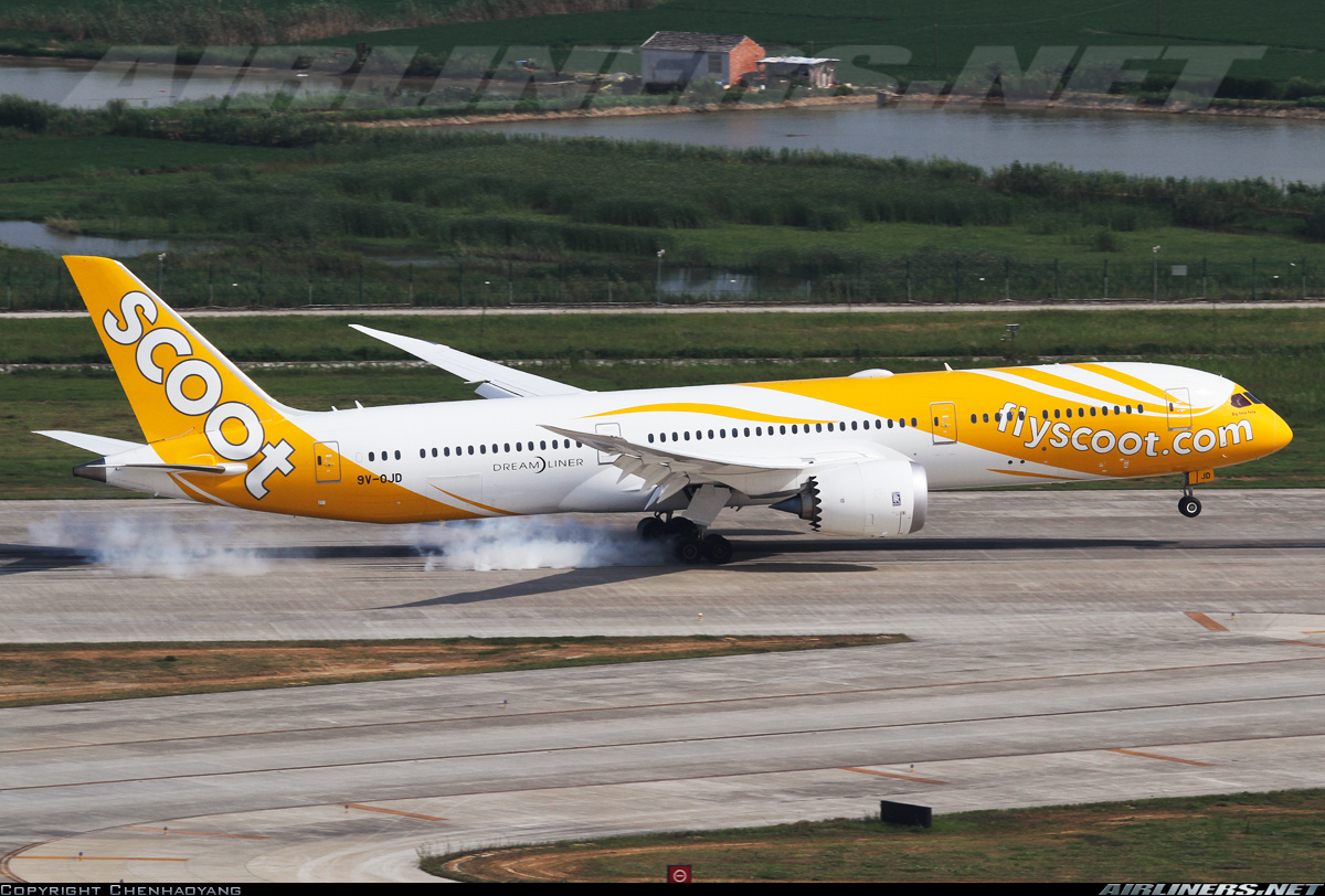 Charles Ryan's Flying Adventure: Airlines Alliance - What Is It