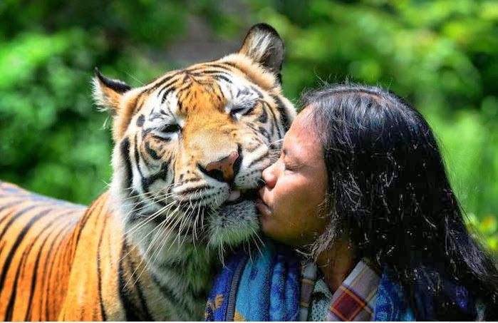 Incredible friendship between a girl and Tiger - Gone Wild Animals
