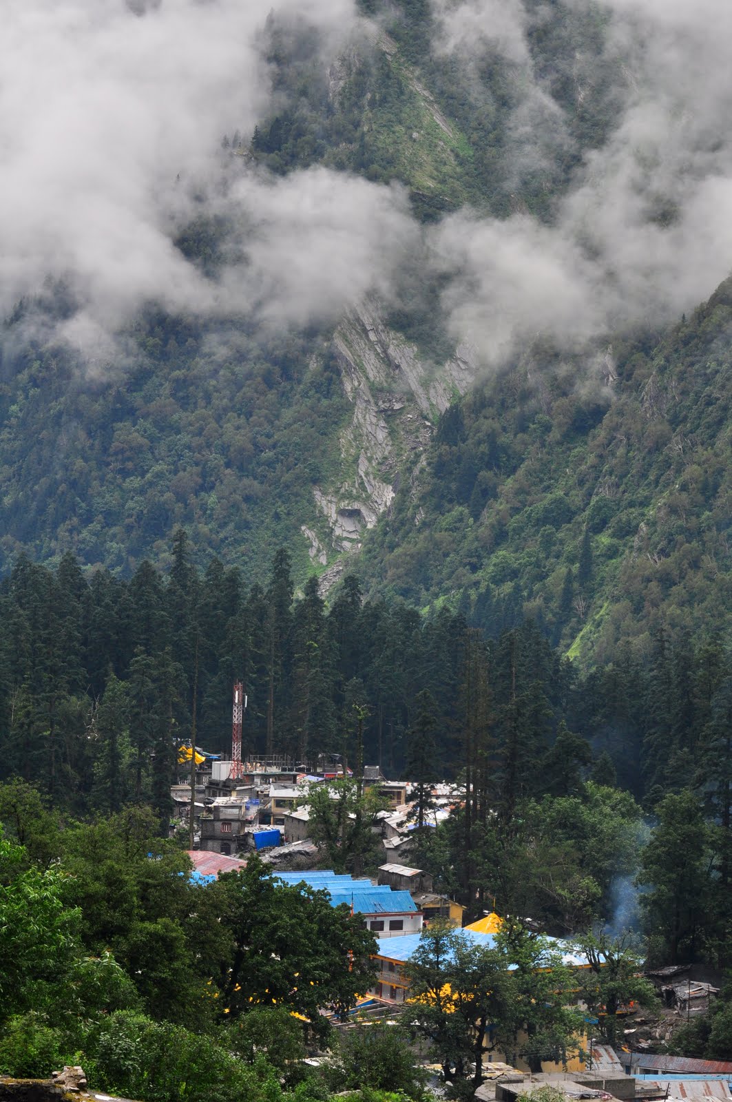 Nature photographe Blog: Valley Of Flower,a Heaven in Himalaya