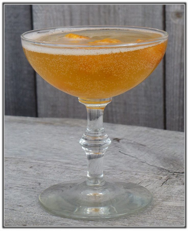 Gör egen kombucha! Scoby svamp till salu, skickas med vanlig post på 1 ...