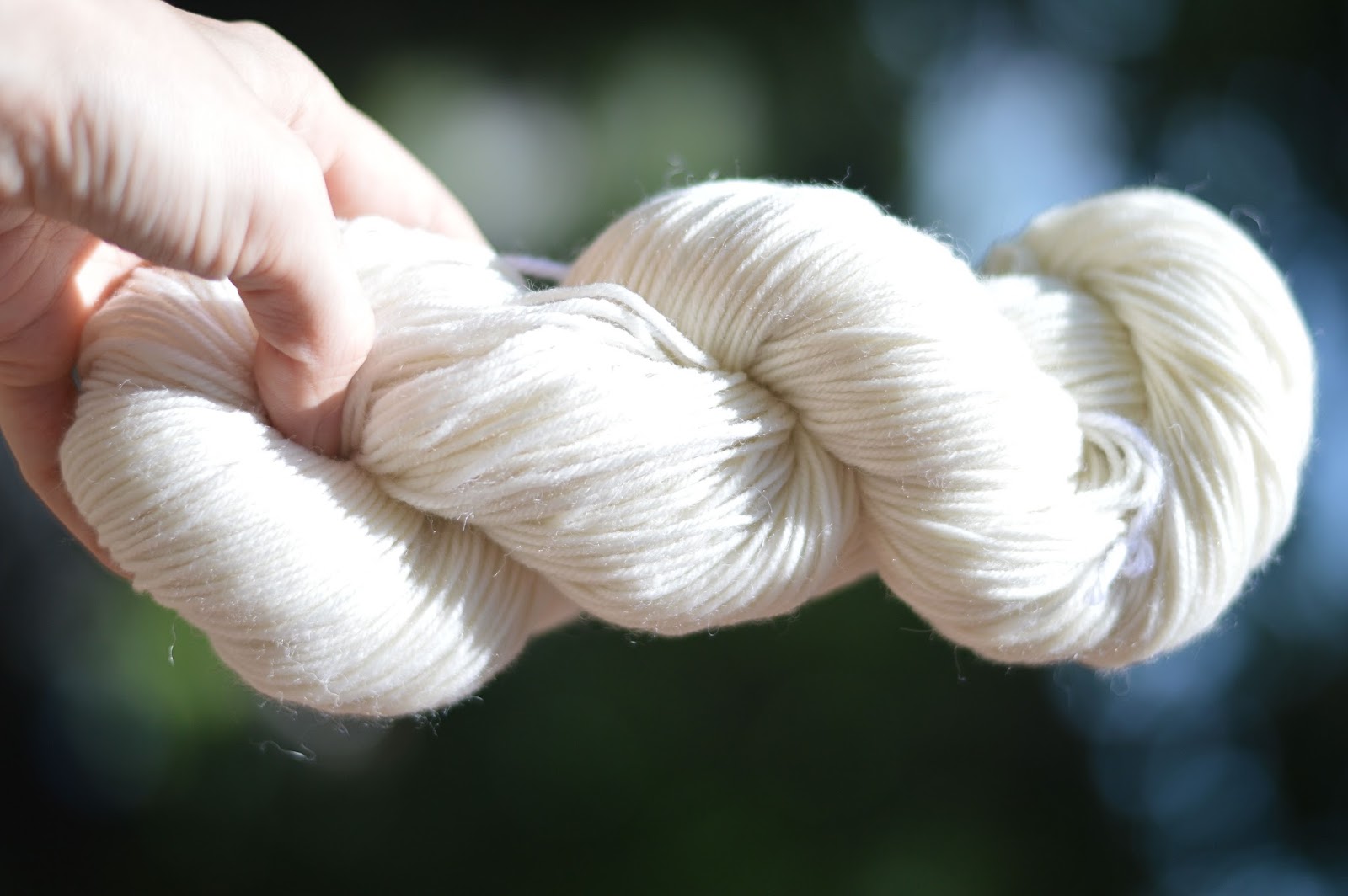 With Alex: My Newest Yarn Dying Experiment!