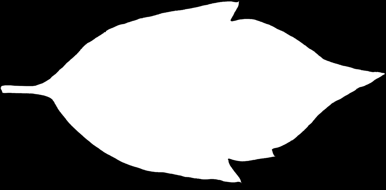 HIGH RESOLUTION TEXTURES: Leaf Textures