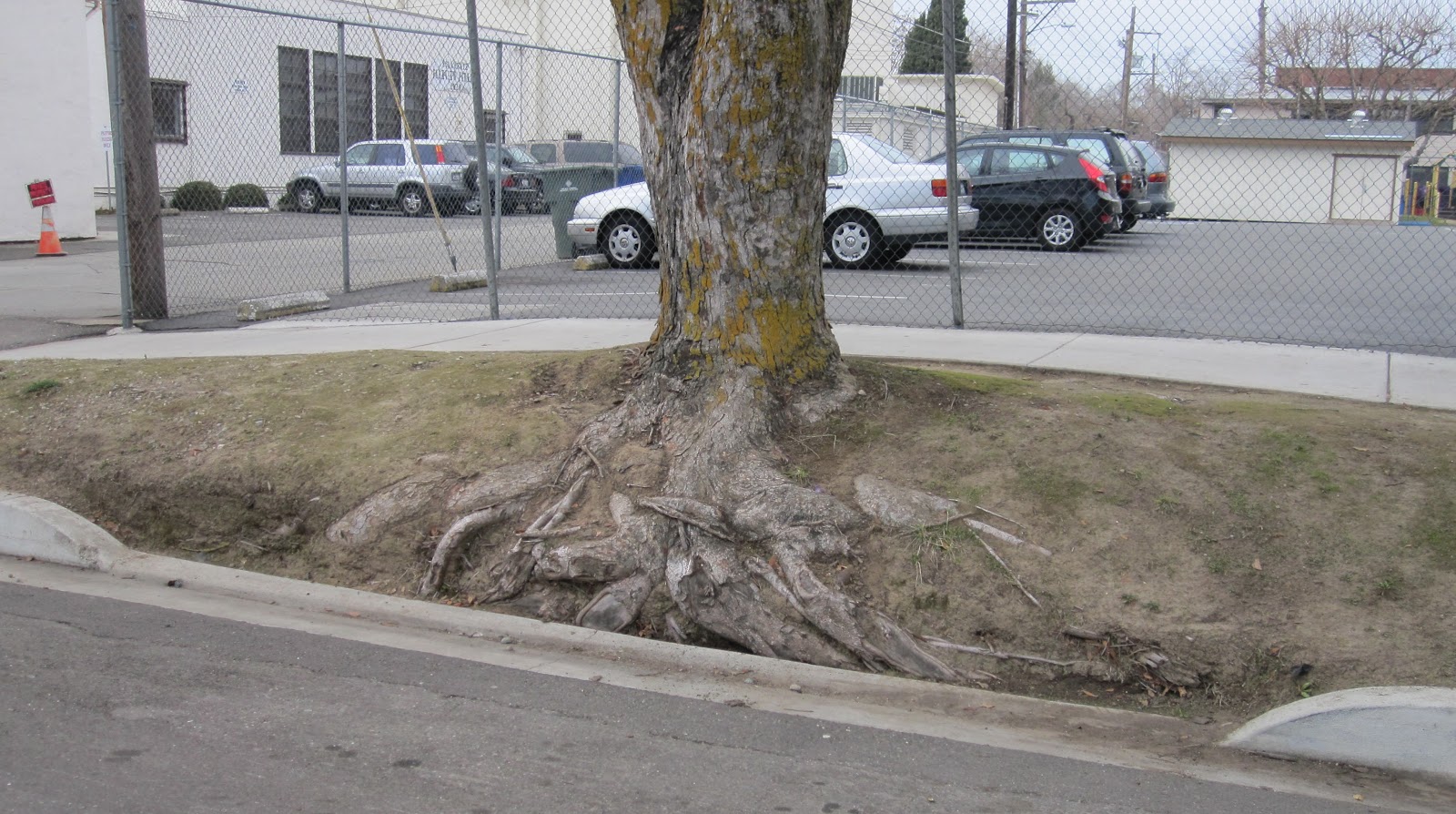 Southside Park: Forty-Six City Blocks of Surprise: Curb Cuts: Not Just ...
