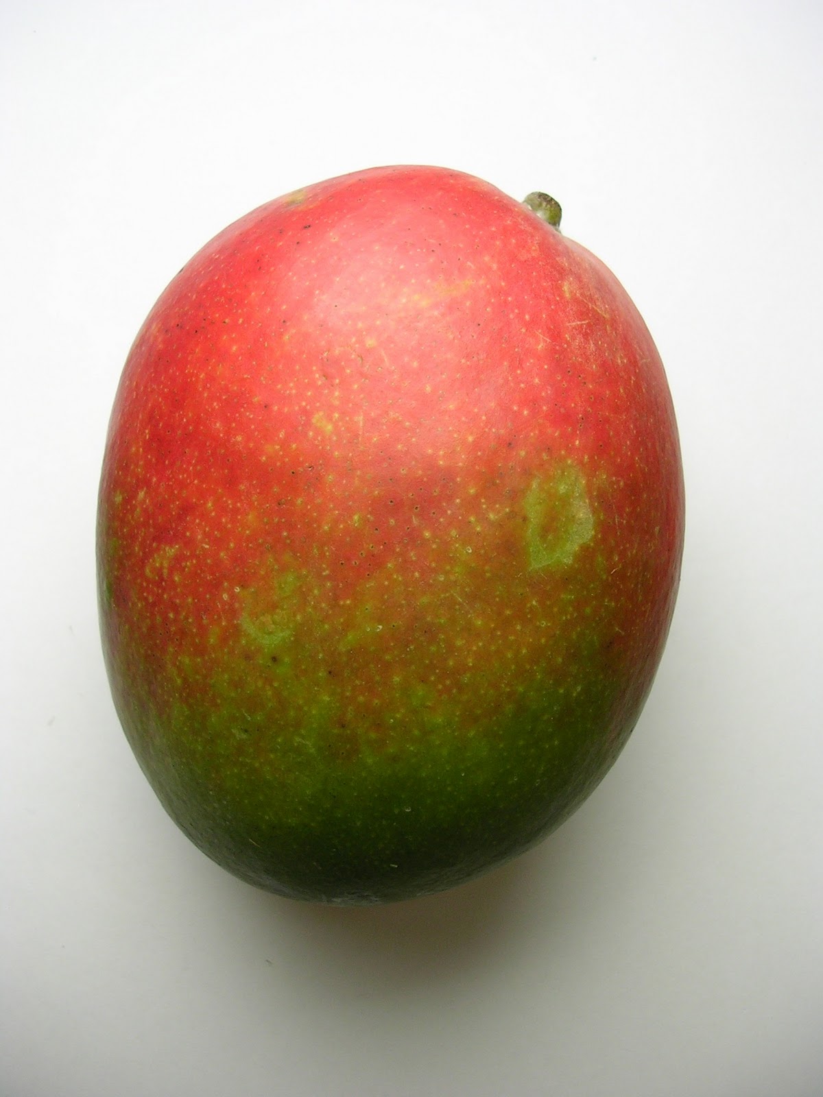 Bilder-Bibliothek: Mango, Mangofrucht