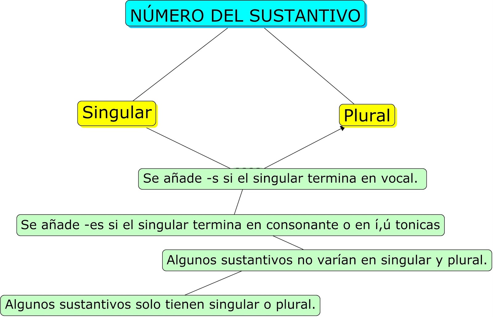 El blog de 6º B: NÚMERO DE LOS SUSTANTIVOS