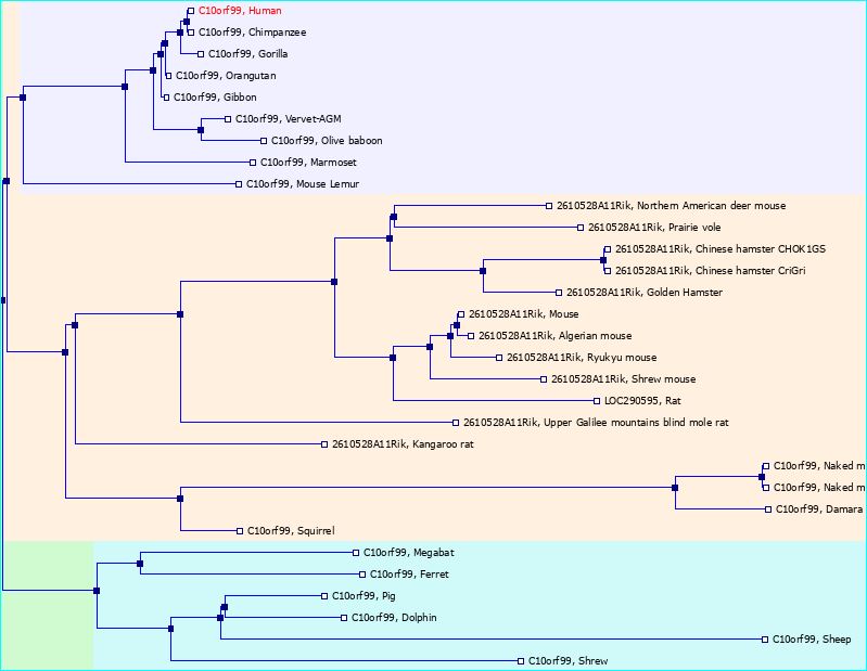 Bio Chem: GPR15 and its new ligand