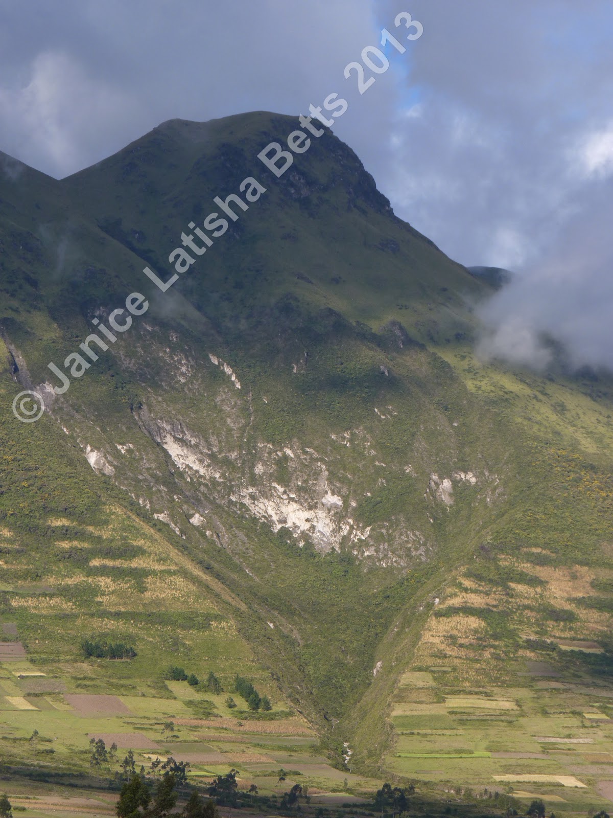 Janice Latisha Betts