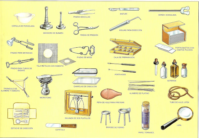 ELEMENTOS DEL LABORATORIO