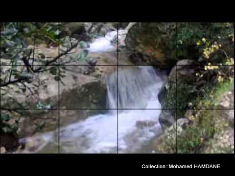 CULTURE et PATRIMOINE DE TUNISIE EN IMAGES- MOHAMED HAMDANE-ثقافة وتراث ...