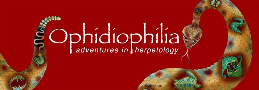 Ophidiophilia: Man-Eating Snakes