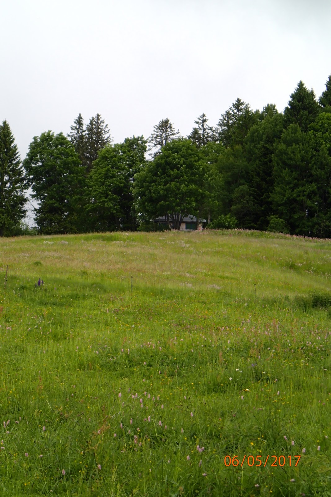 After Nature: Our visit to the Heidegger cabin (Heidegger's hut)