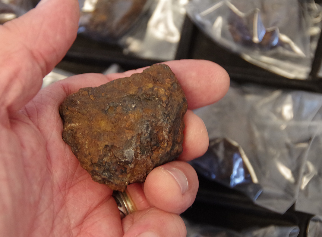 Birds of the Heath: Amazing Pallasites