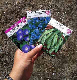 GoldFeather Blog: How I made my Tepee Garden