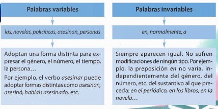 LENGUA CASTELLANA Y LITERATURA 1º ESO: UNIDAD 1