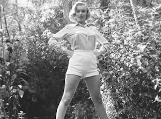 celebrity news and gossips