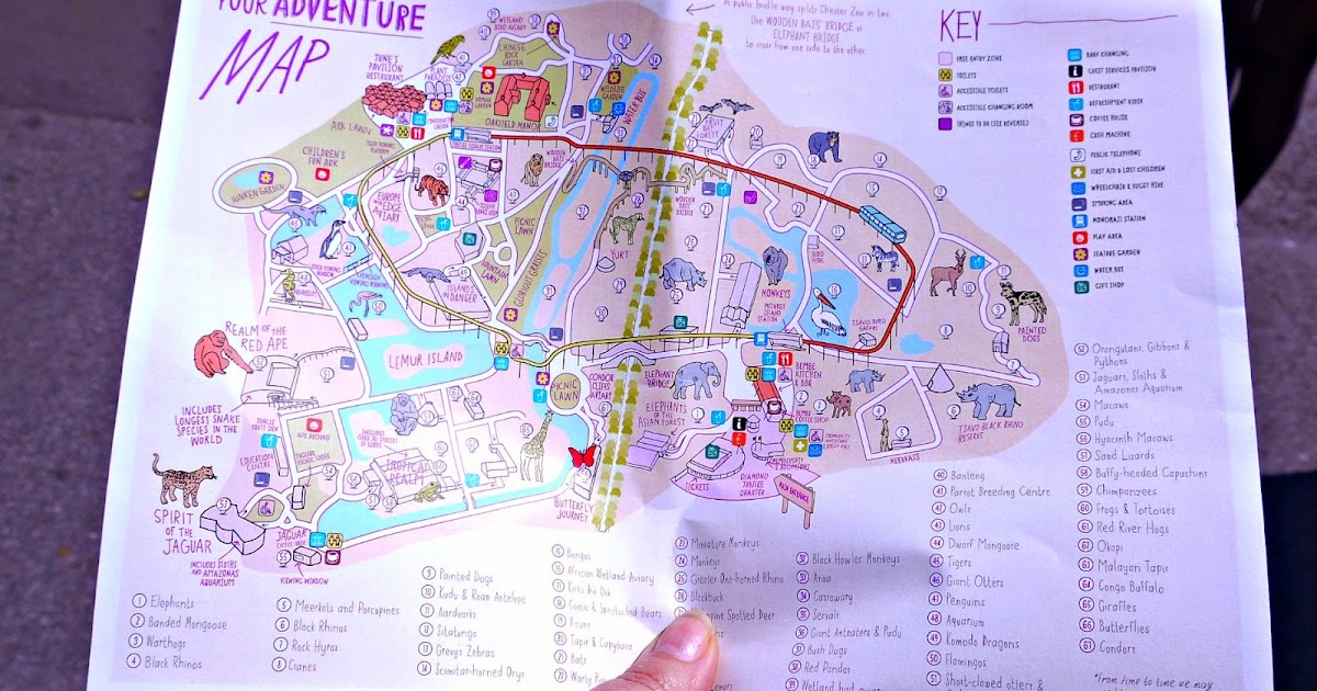 Inside the Wendy House: A Family Day Out at Chester Zoo